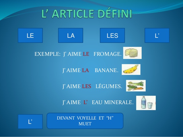 Cours de première année : Les articles définis: LE, LA, L', LES