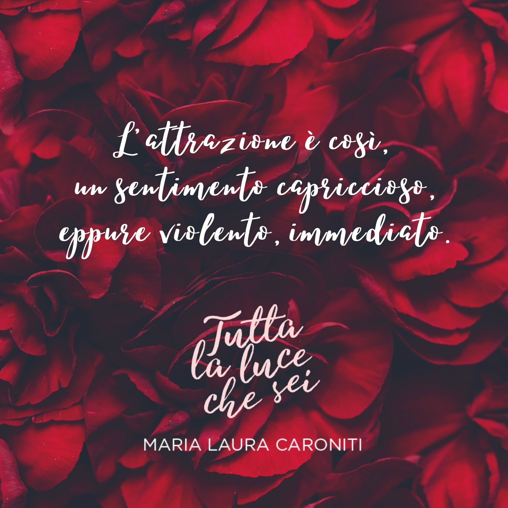 L'angolo books di Berta: Segnalazione "Tutta la luce che sei" di Maria Laura Caroniti