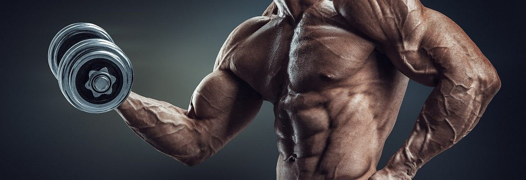 How to Build Muscle through Natural Way?