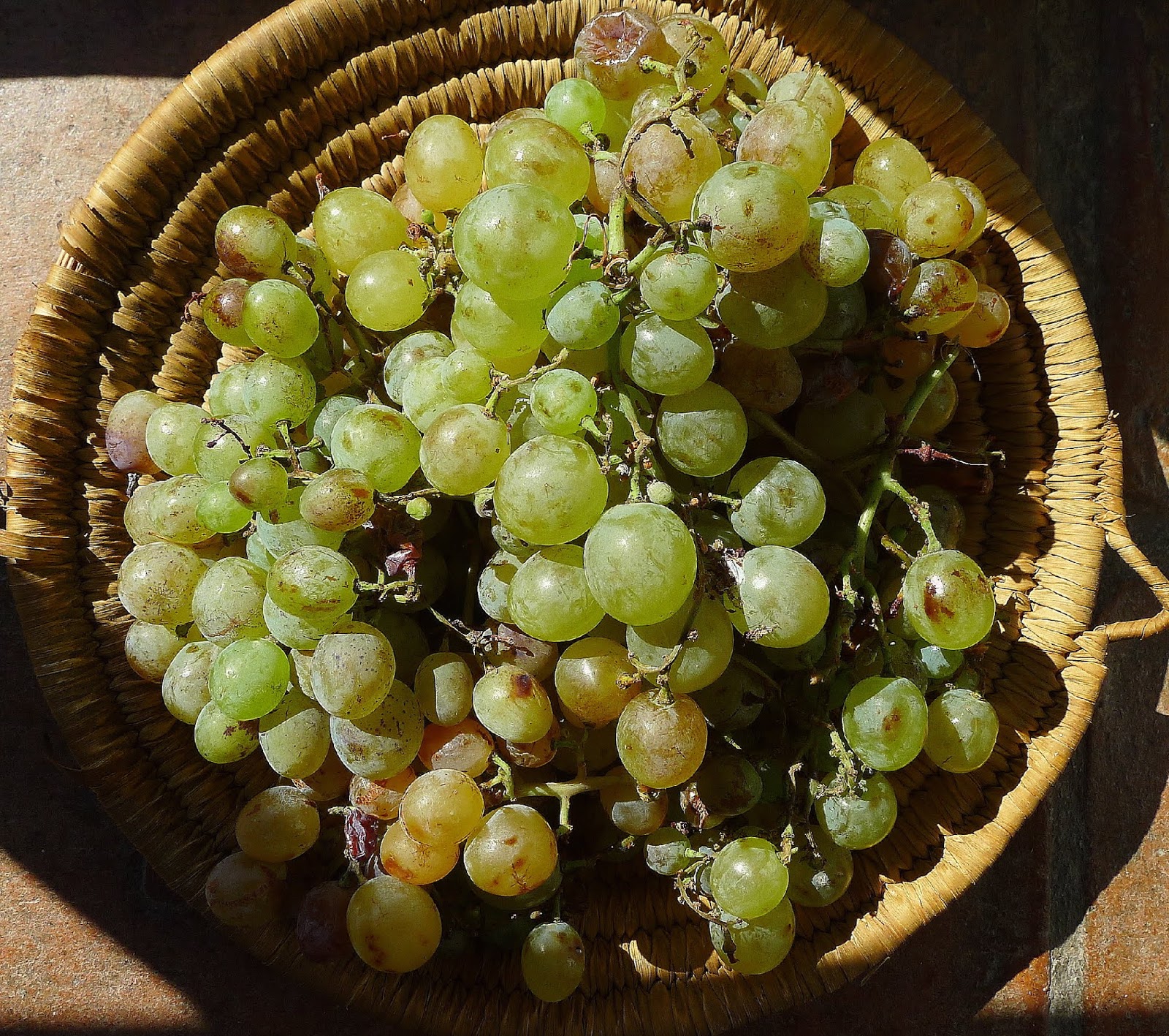 MY KITCHEN IN SPAIN: A DESSERT FROM WINE COUNTRY