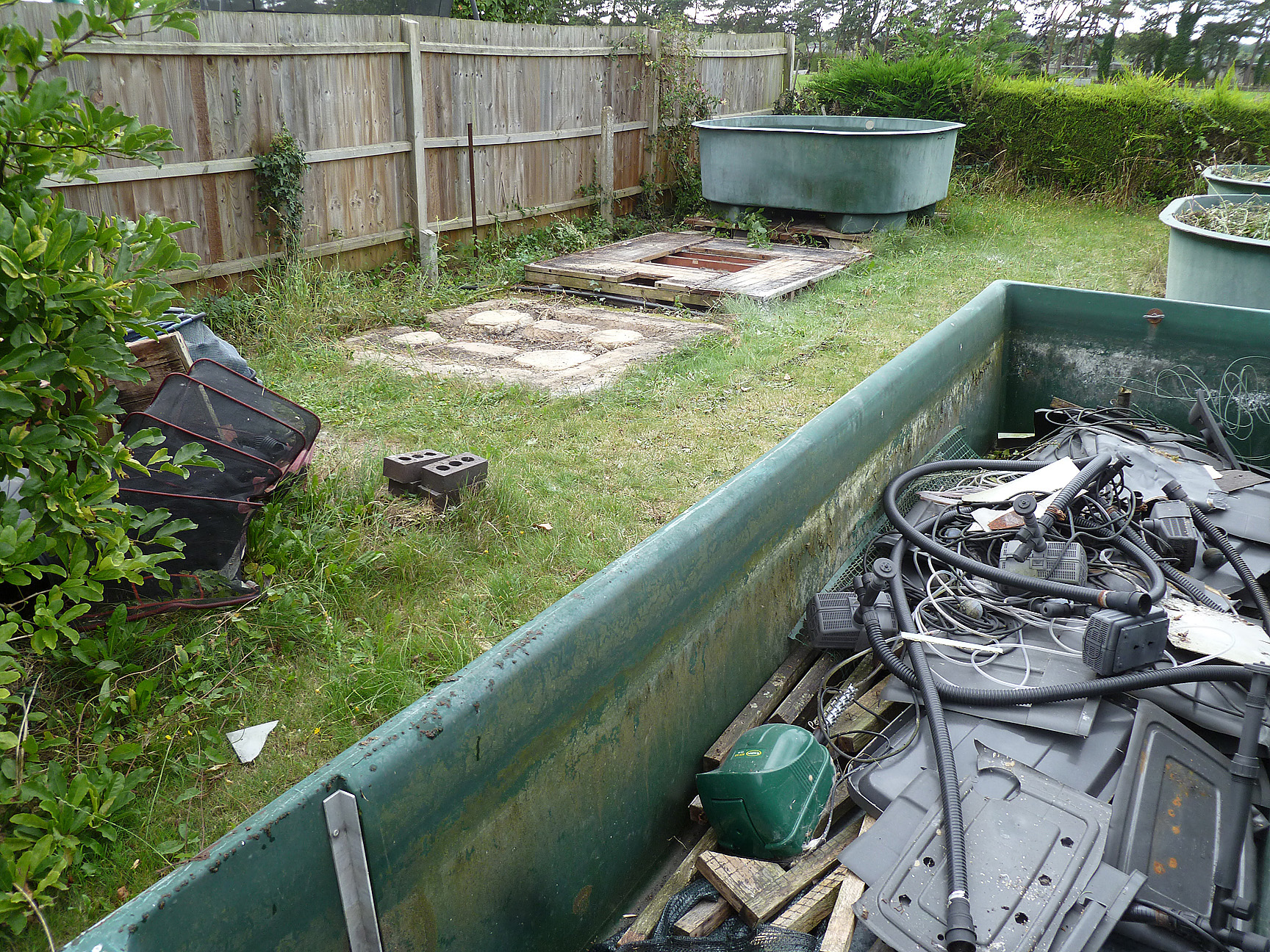 Avon Roach Project: 2020