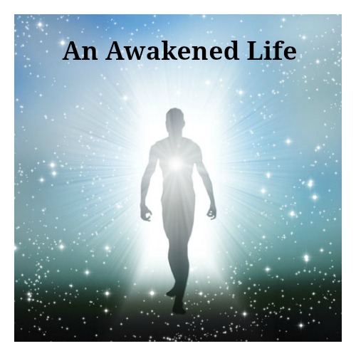An Awakened Life | A Ladder to Above