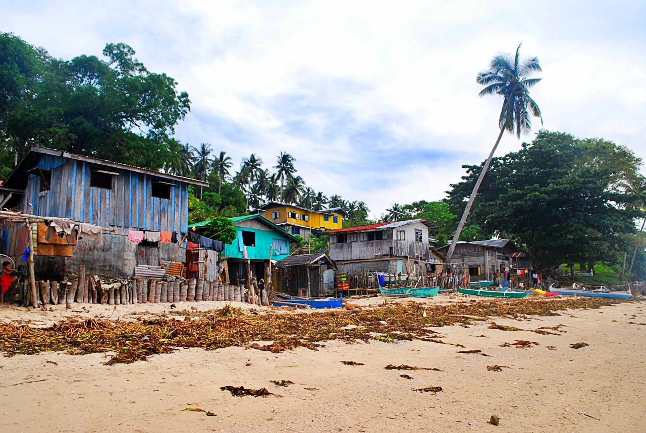 Throwing Coins at Rio Grande and the Fictional Apocalyptic Island of ...