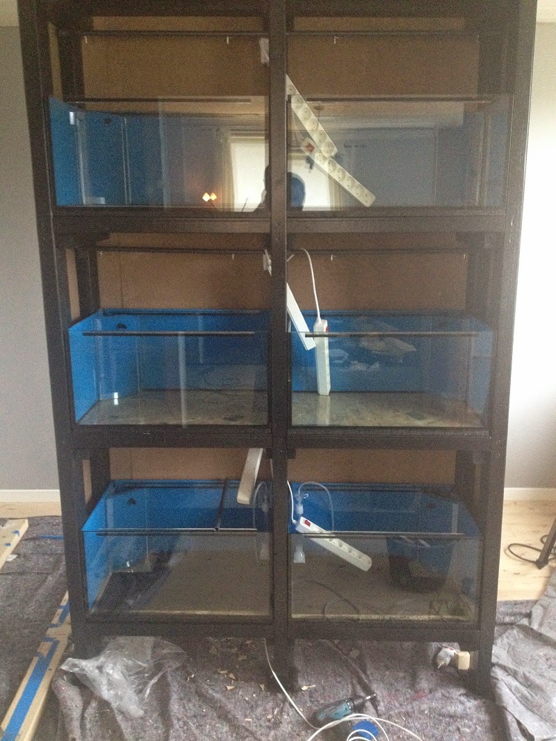 Melanders Aquarium: Aquarium Rack, Danish Improvements:)