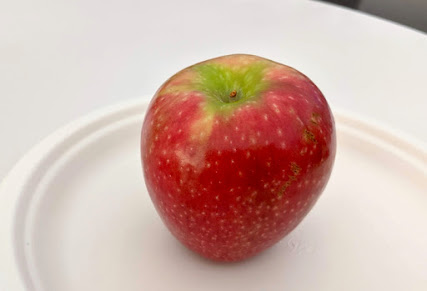 Lucy Rose - Adam's Apples