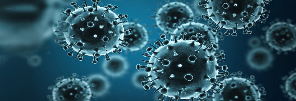 Virología: Estructura, Replicación y Clasificación vírica