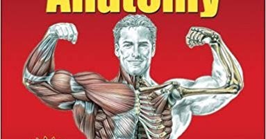 Strength Training Anatomy, 3rd Edition - Body Mass Maxx