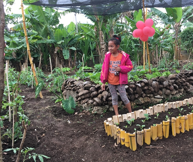 Thomsons In Tonga: Tokomololo Chicken Project