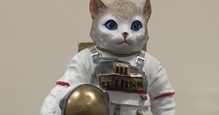 Say Hello Spaceman: Cat in a Spacesuit (2019)