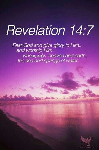 Walking in the Light : Revelation 14