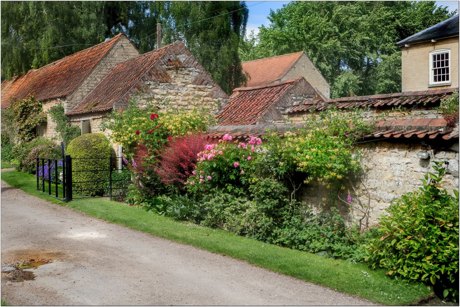 Lincolnshire Cam: Hackthorn Hall Summer Open garden. (Set 2 of 2)