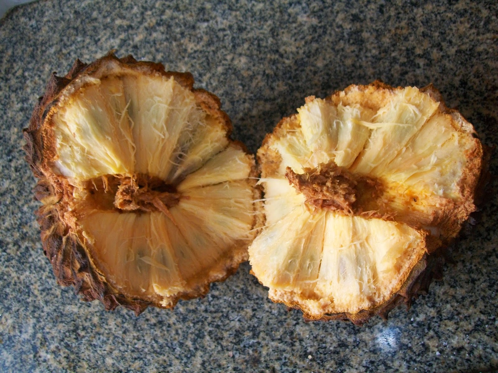 Blog da Anabela Jardim: Marolo, araticum ou bruto?