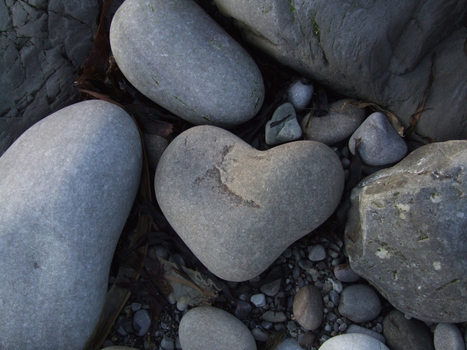Fair Isle: Nature Lovers! Natural Heart Shapes - Valentine's Day 2013