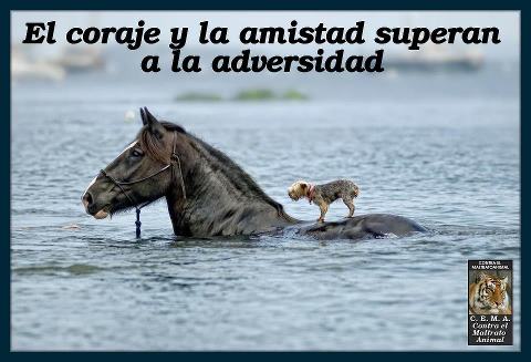 PALABRAS MAGICAS: El coraje