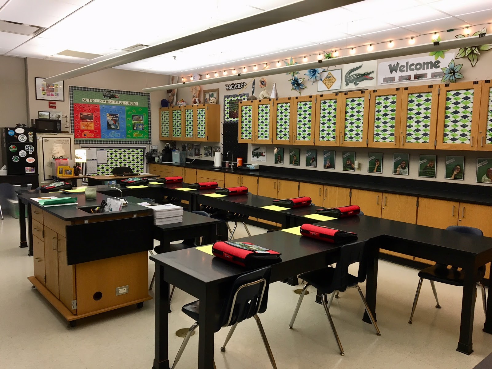 The Uptown Acorn: Science is a Beautiful Subject {Classroom Theme}