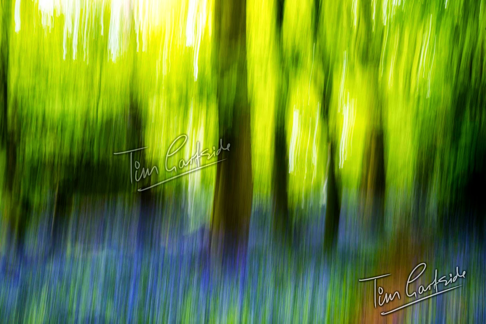 Tim Gartside Photography Workshop Blog