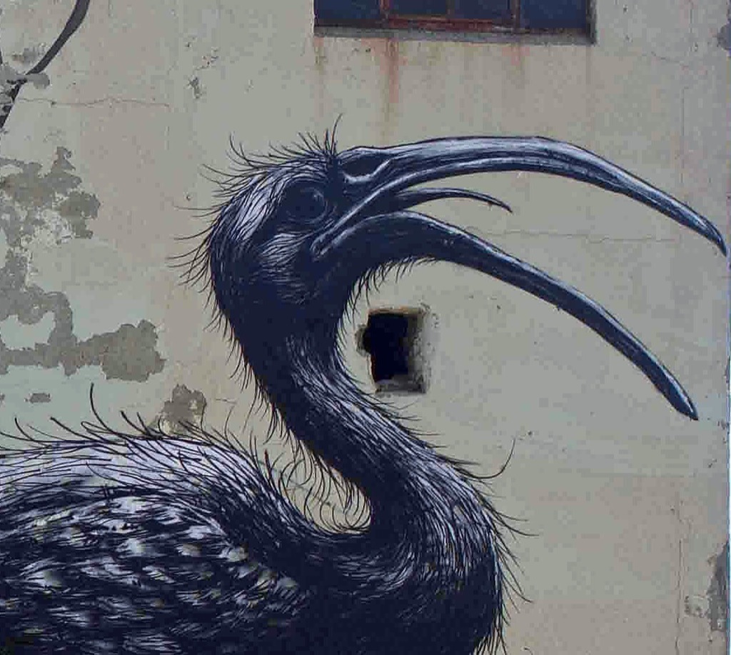 ROA New Mural In Johannesburg, South Africa (Part II) | StreetArtNews ...