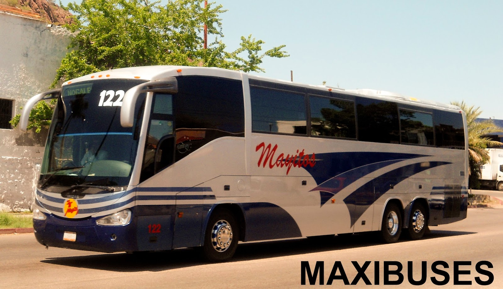 MAXIBUSES: AUTOBUSES LOS MAYITOS