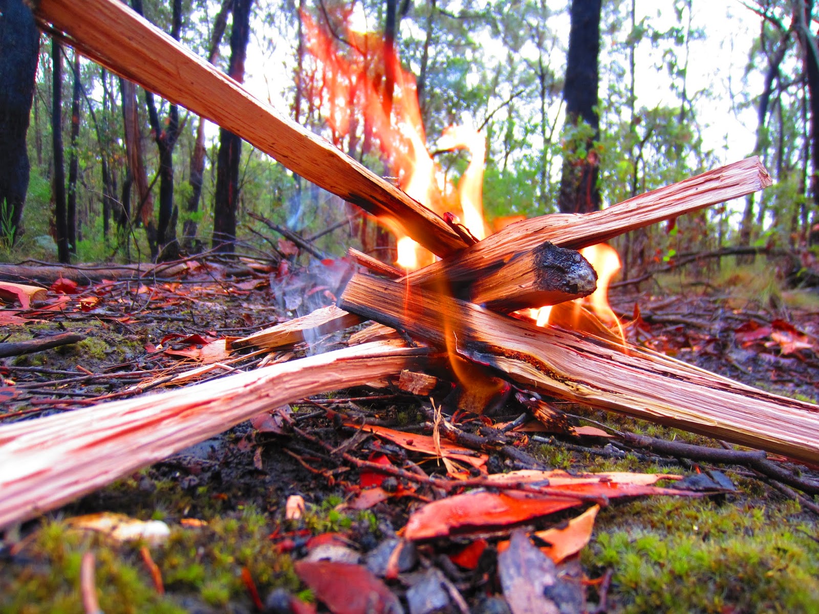 Australian Bushcraft: MP Knives Drifter