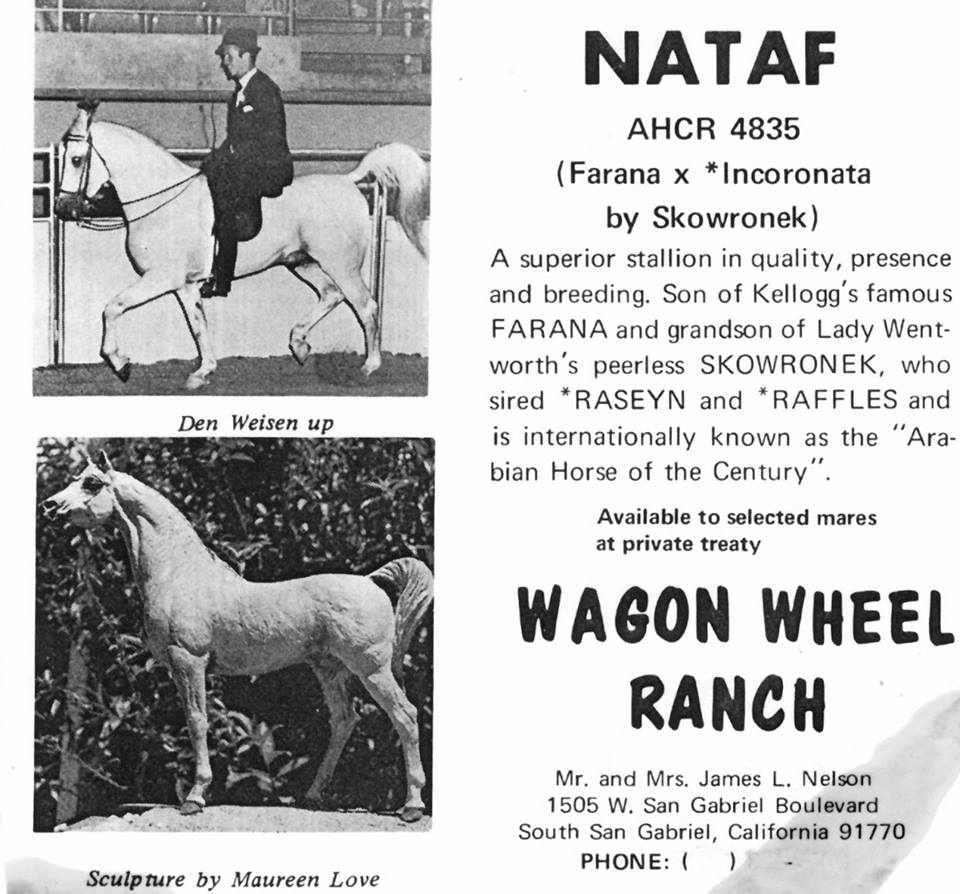 The Model Horse History Project: "Miniature Menageries: The History and ...