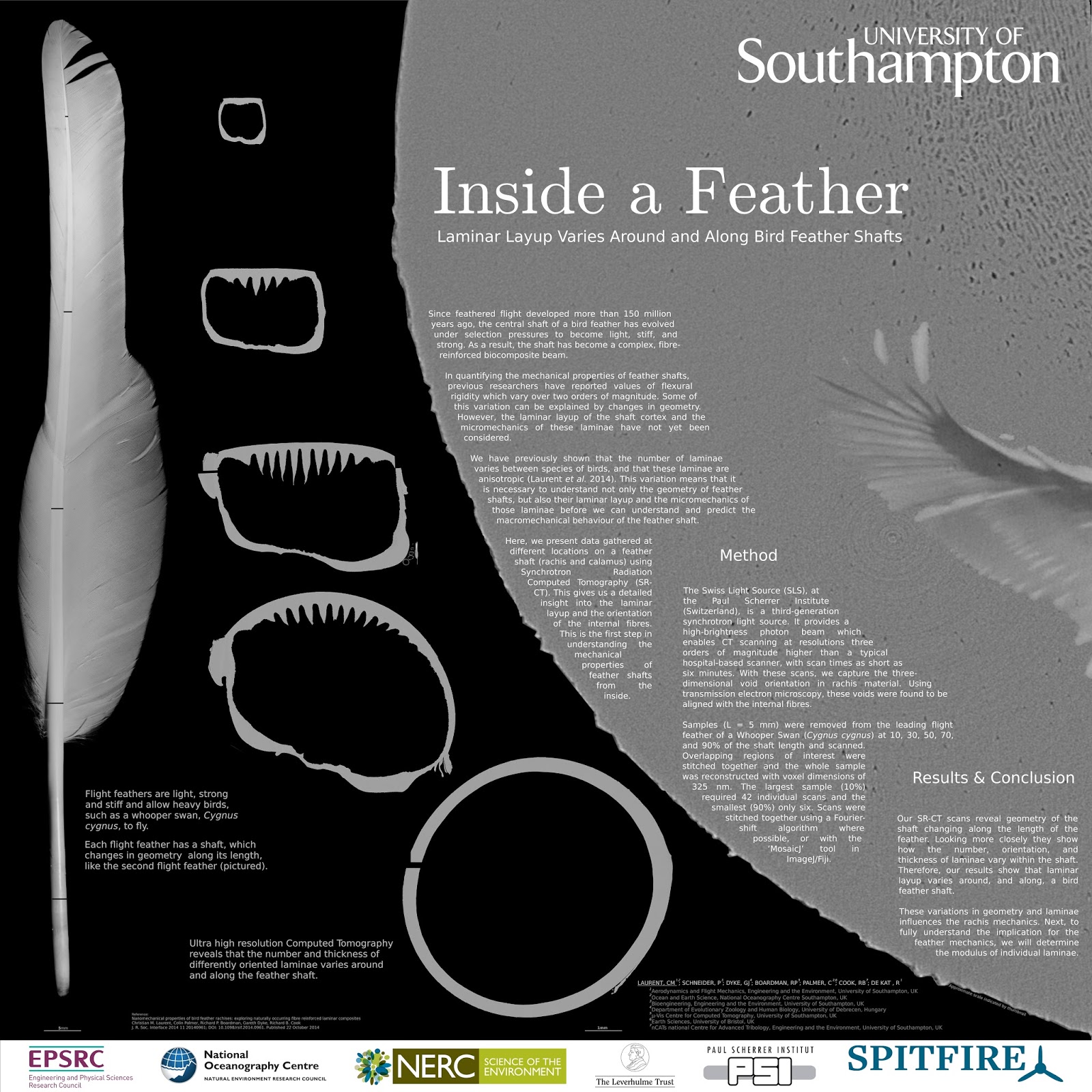 Better Posters: Critique: Feather sections