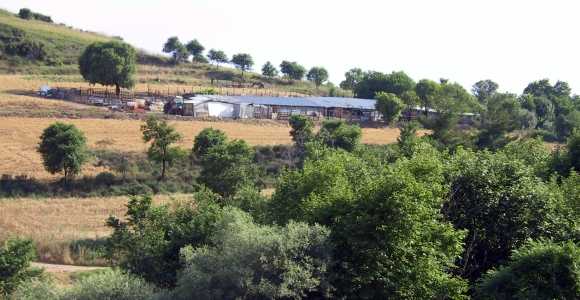 ΑΛΒΑΝΟΣ ΣΤΗΝ ΛΑΡΙΣΑ... ΜΠΗΚΕ ΣΕ ΜΑΝΤΡΙ ΝΑ ΚΛΕΨΕΙ ΠΡΟΒΑΤΑ ΑΛΛΑ ΤΟΝ ...