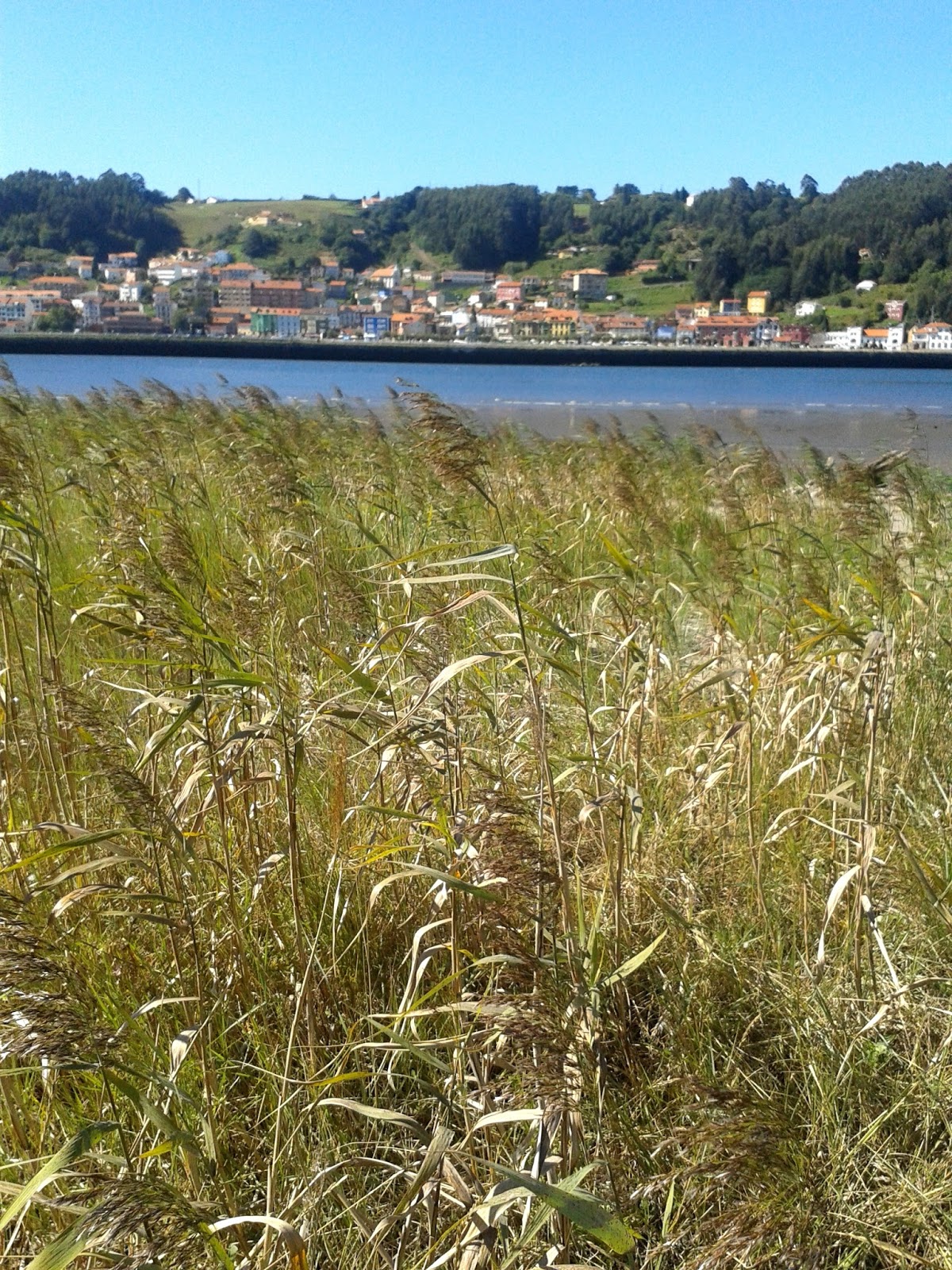 Caminos y senderos españoles: EL RÍO NALÓN (ASTURIAS)