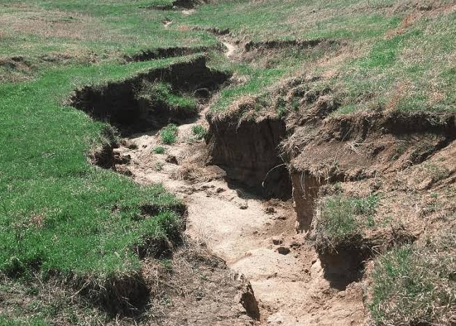SOIL AND IT S MAJOR CLASSIFICATION CLASS 10 SST PART 2 R D soil-and-it-s-major-classification-class-10-sst-part-2-r-d