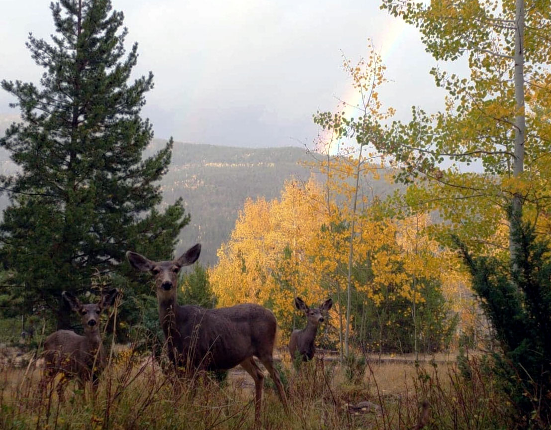 What Is New at Moon Lake Resort