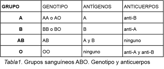 Grupos sanguíneos y factor Rh ¿Cómo es mi sangre?