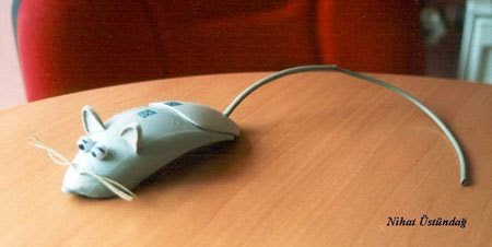 CUTE PICTURES: funny computer mouse