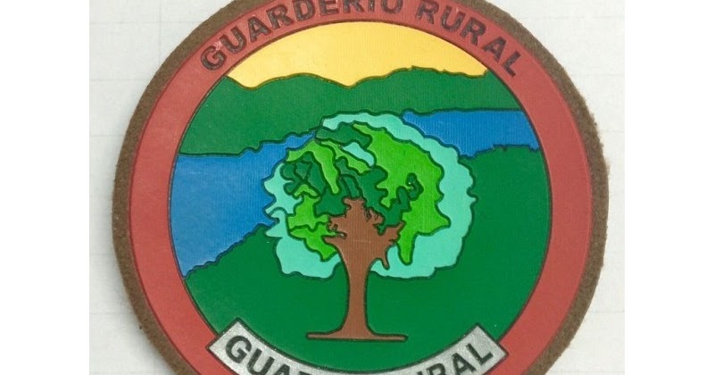 Anécdotas y curiosidades jurídicas | iustopía: El precedente de la ...