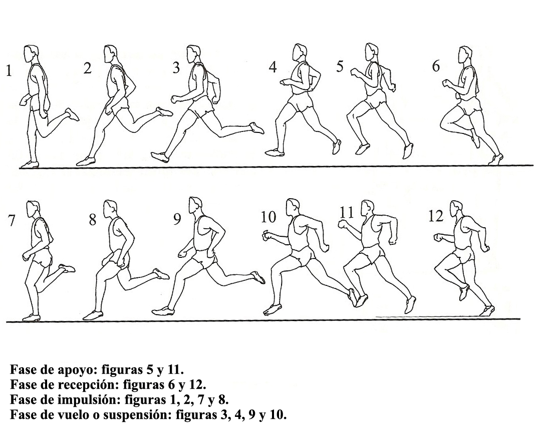 MEMBRILLA DEPORTIVA: EL OTRO ENTRENAMIENTO DEL CORREDOR