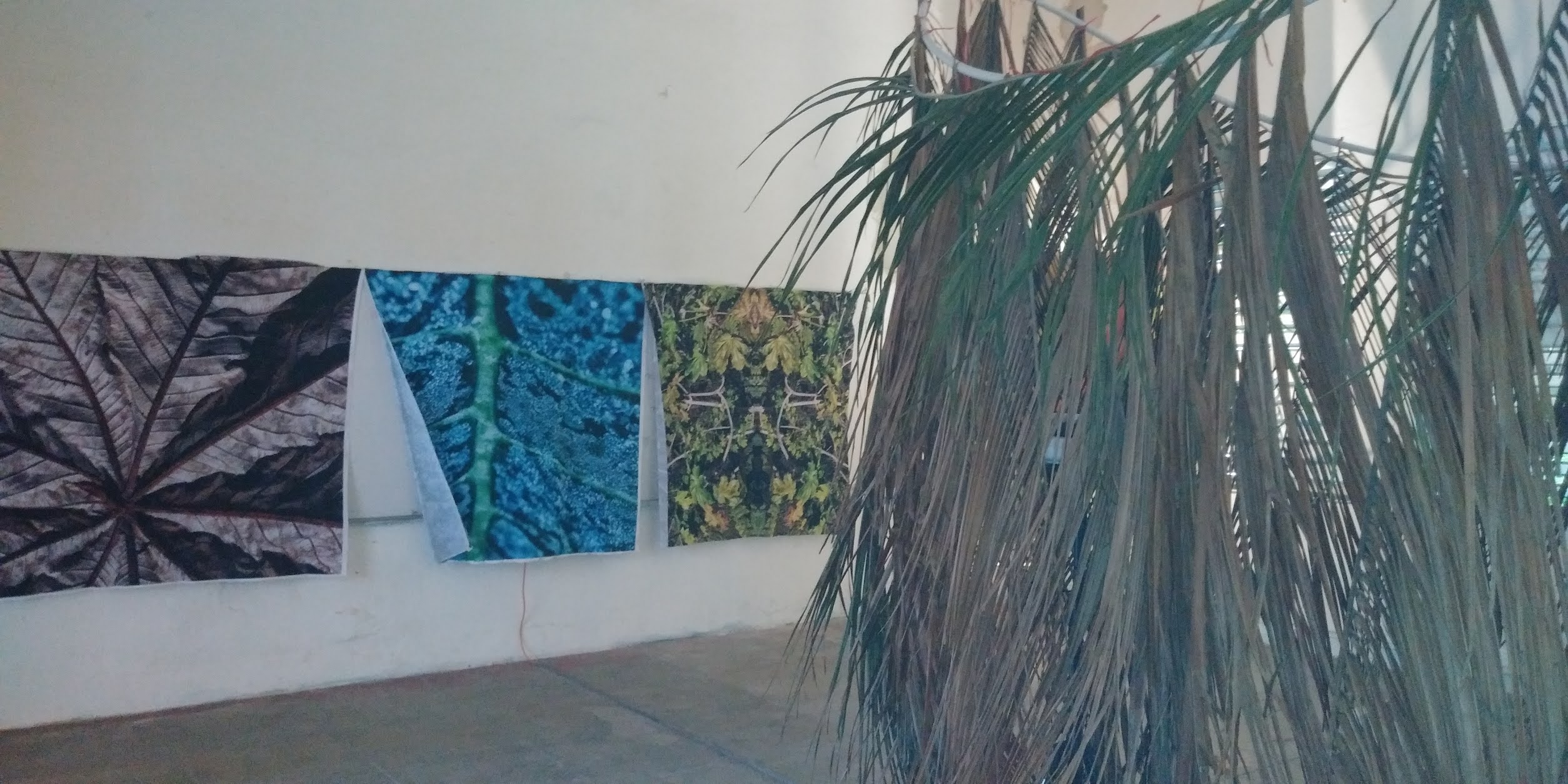 Eco Arte: Meditación Natural” , ofrendas y espiritualidad de Ballesta