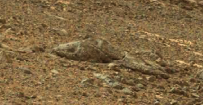 Prehistoric Sea Creature Found On Mars?