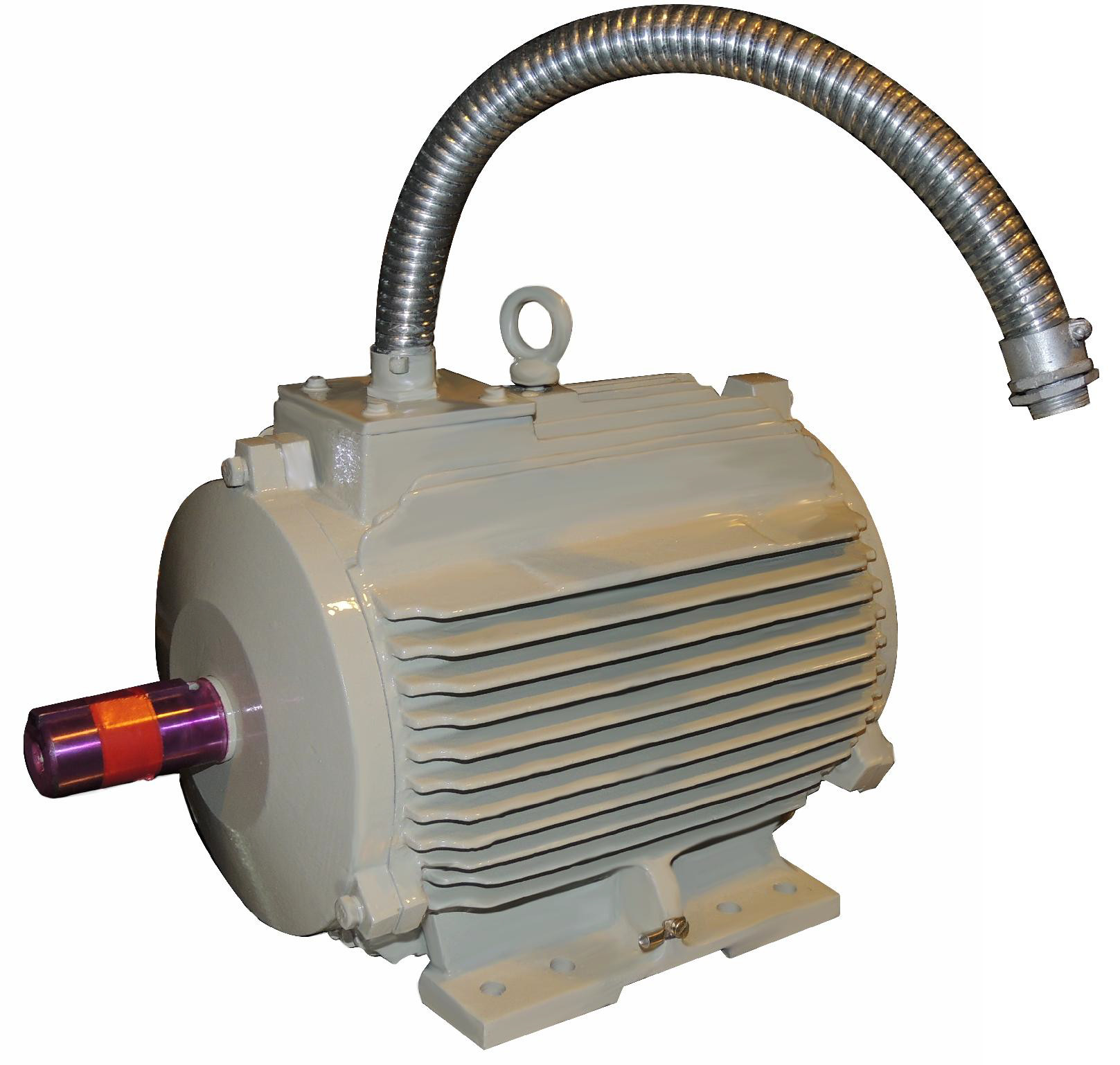 Smoke-Spill Induction Motors