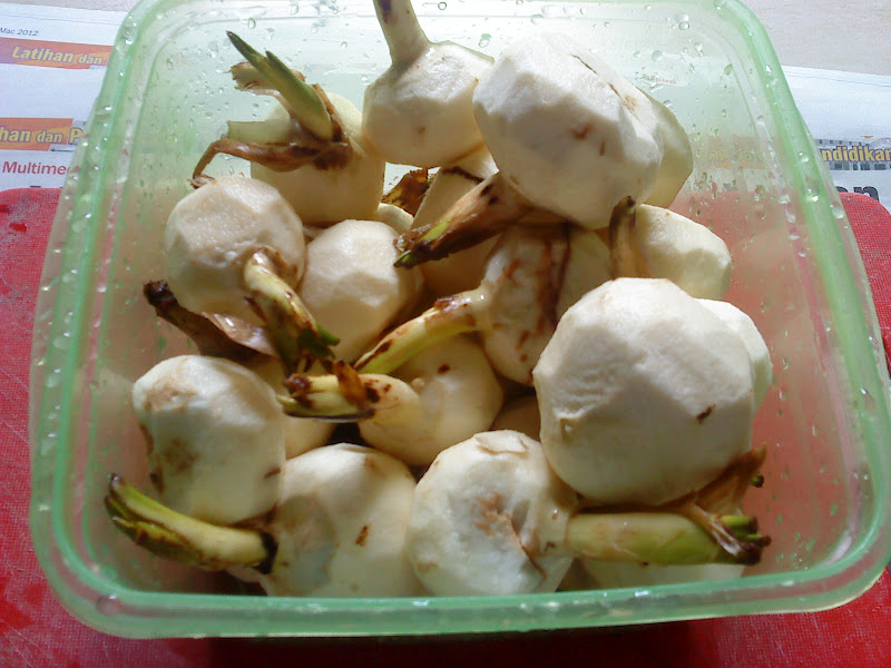 This is Our Story: Sengkuang Cina Ngaku