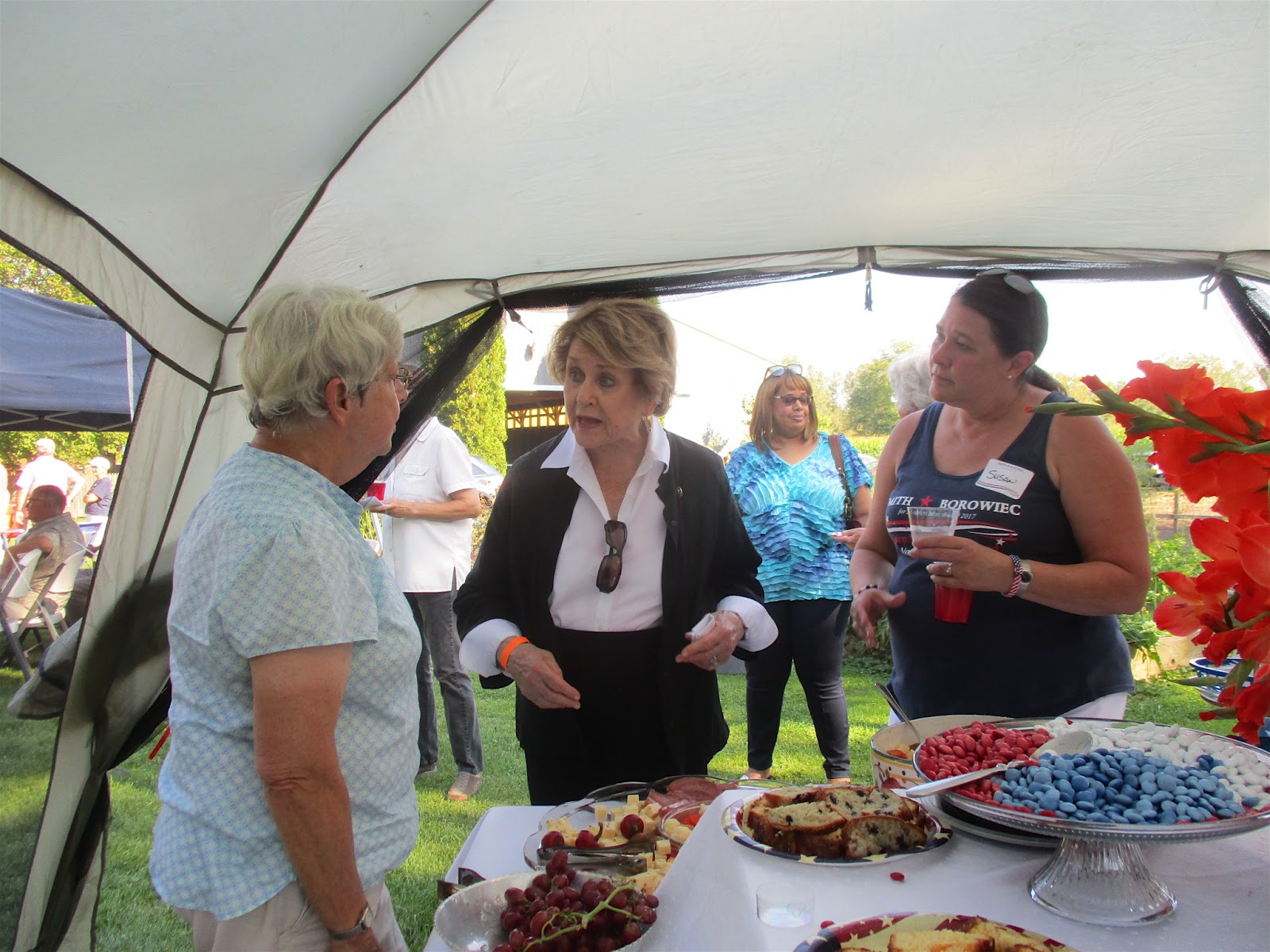 THE SKOOG FARM JOURNAL: Susan, Wally, Louise and Todd Made My Day!