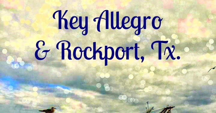 Road-trip to Key Allegro-Rockport - Treast | Irasema Ortiz