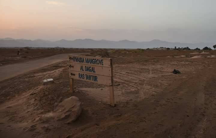 أما أبرز ما تضمه محمية نبق فهو النظام النباتي بها حيث تضم أرضها نحو 134 ...