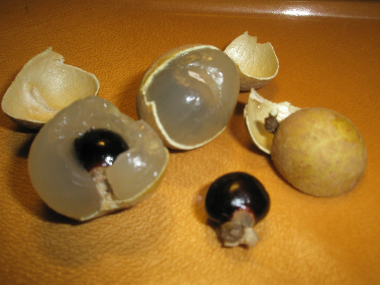 Got it, Cook it: Singapore Fruits