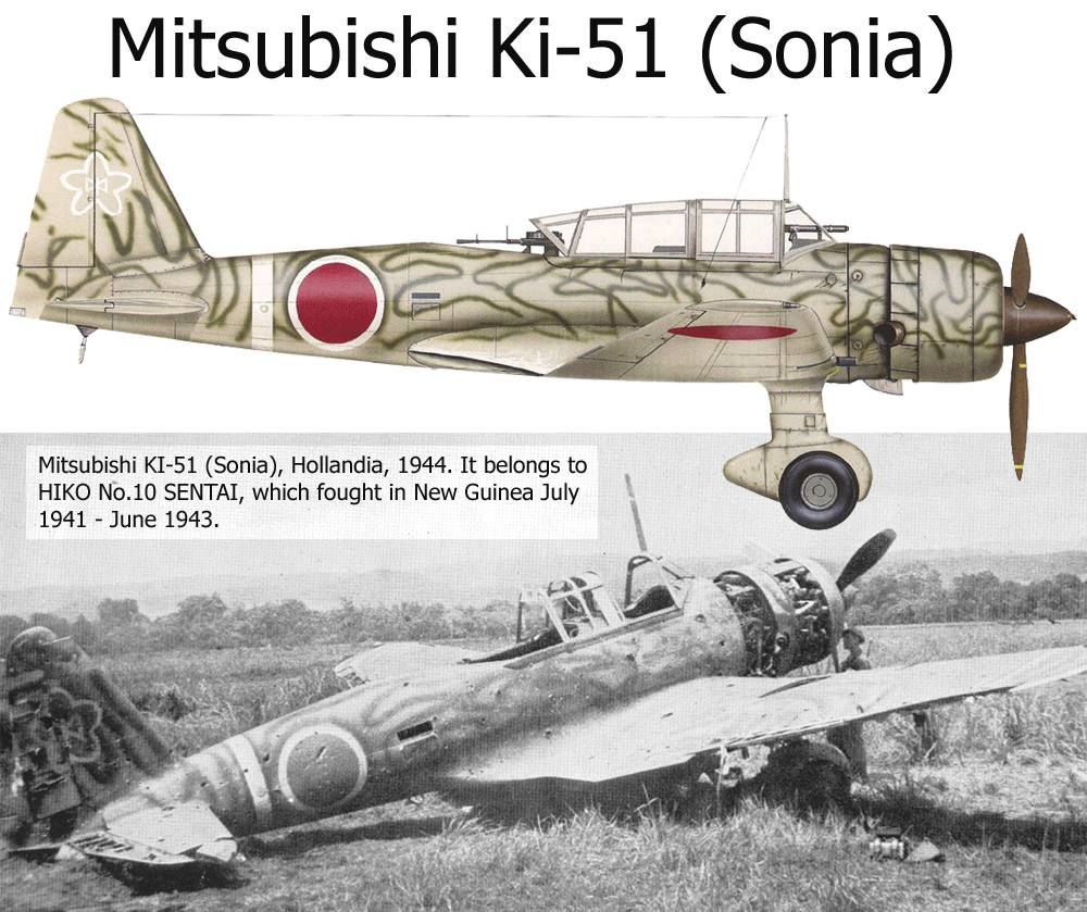 WildEagles: Mitsubishi Ki-51 "Sonia" - modelling options #3 - unknown unit