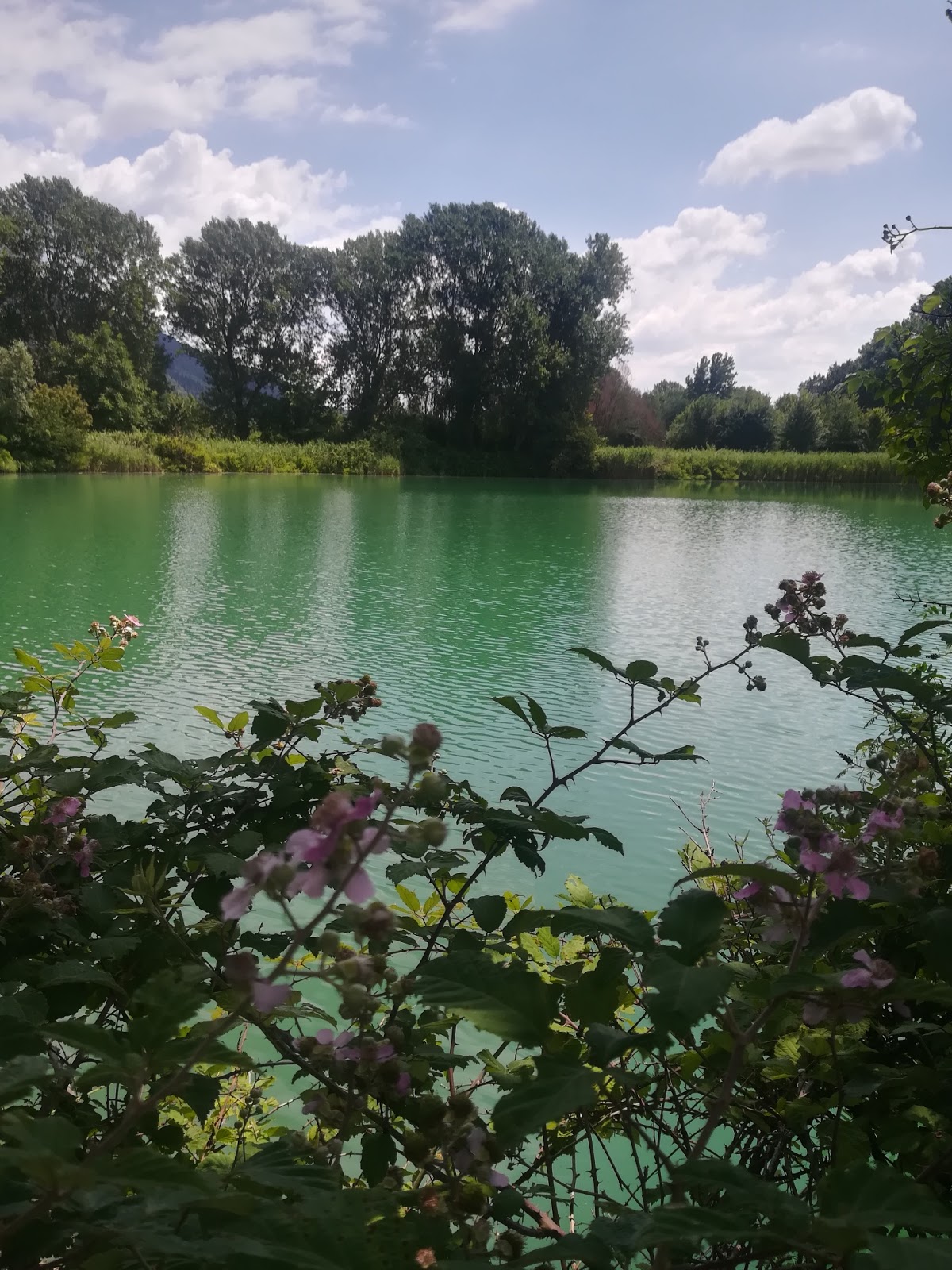 mypunkbox: LE TORBIERE DEL SEBINO. UNA RISERVA NATURALE IN FRANCIACORTA.