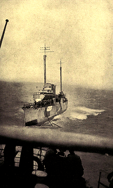 C A M O U P E D I A: 2017