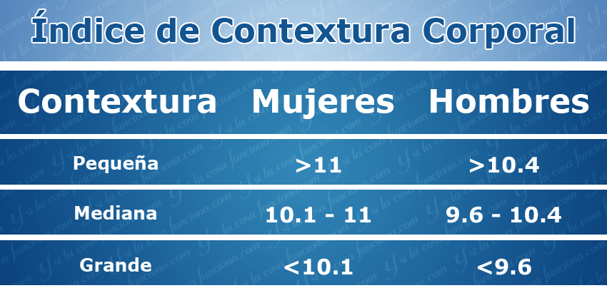 La única dieta que funciona - Y si la cosa funciona...
