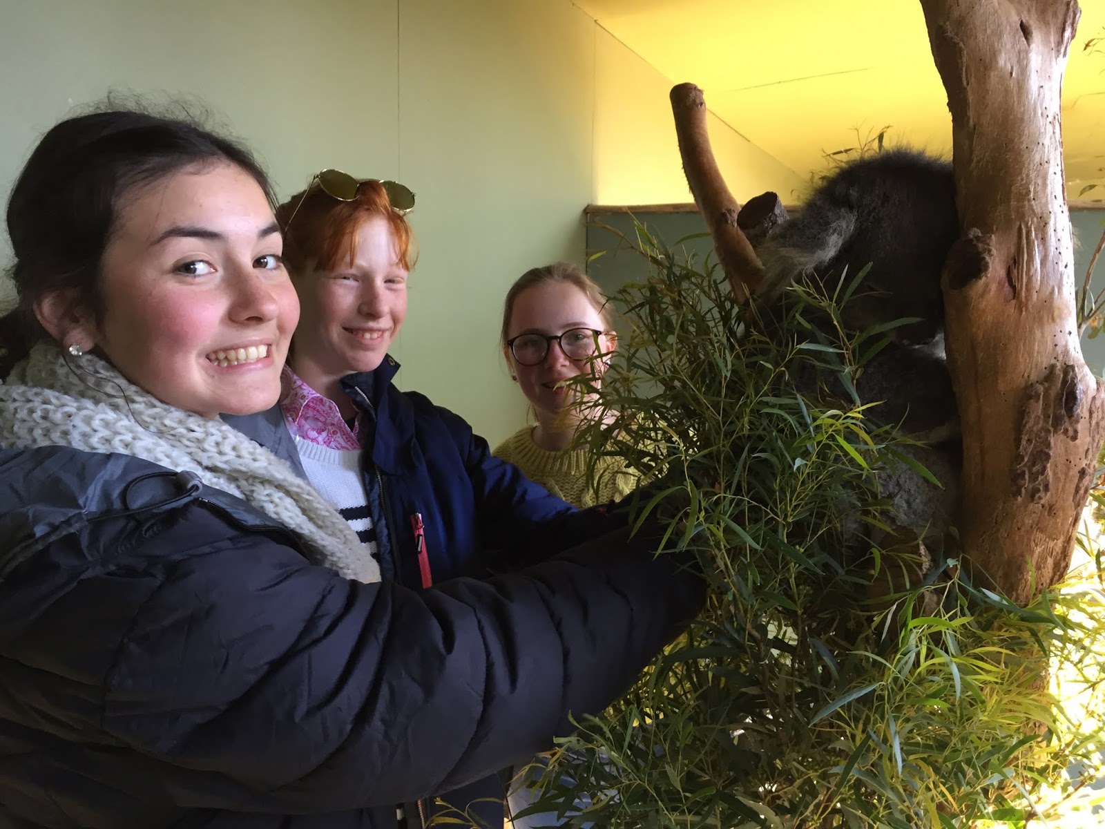 Wagga Christian College Tasmania Excursion: Southern times