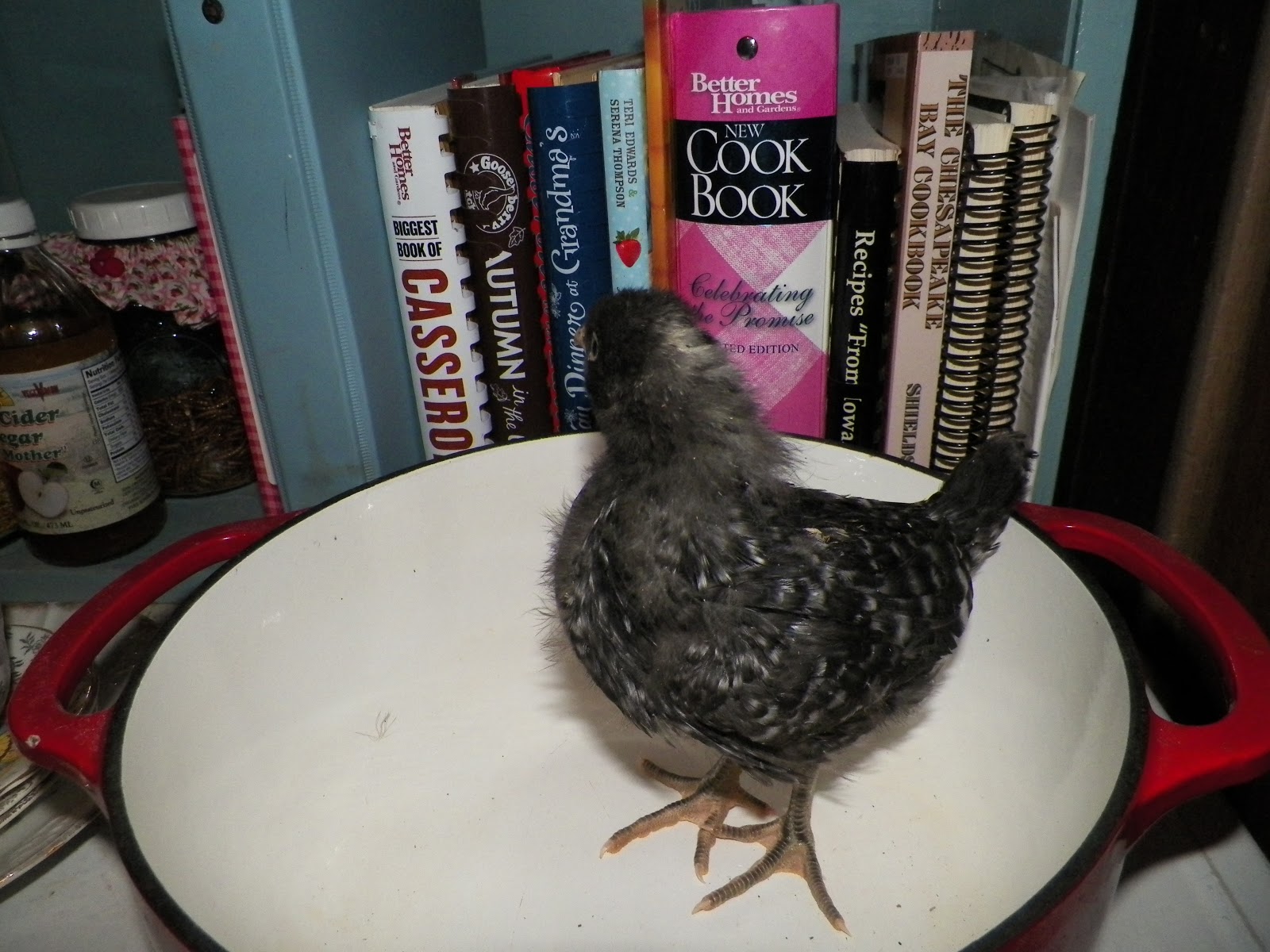 I'll Pour: A Chicken In Every Pot