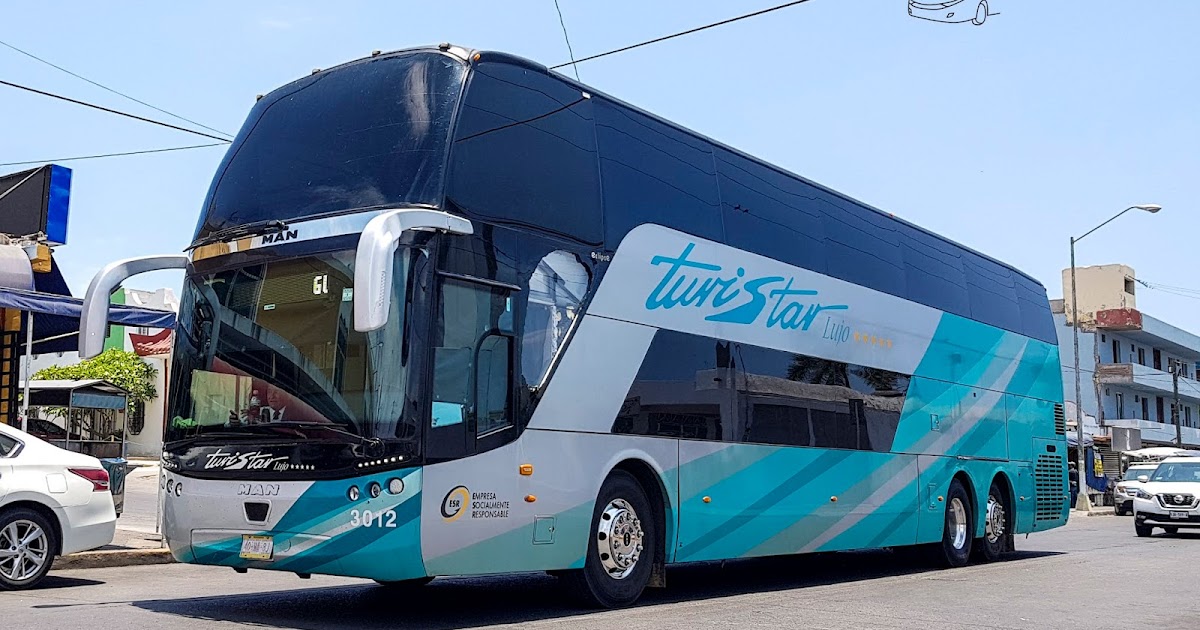 MAXIBUSES: TURISTAR LUJO