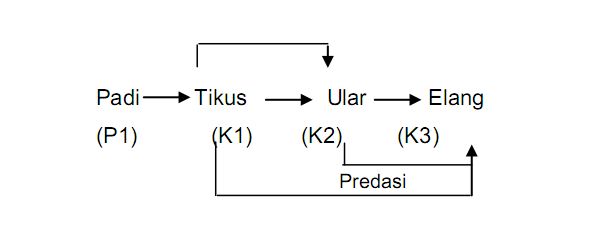 Pengertian Predasi Dan Contohnya - Aneka Contoh