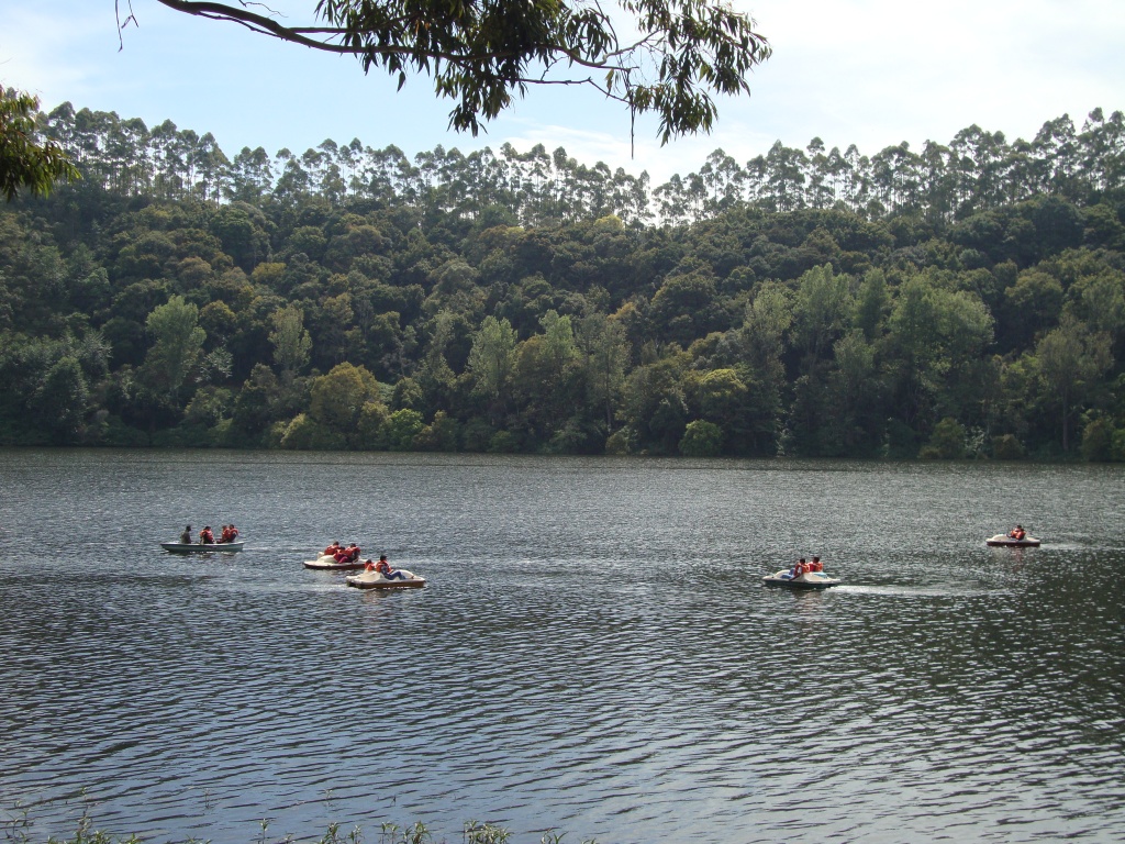 Majestic Munnar Hill Station